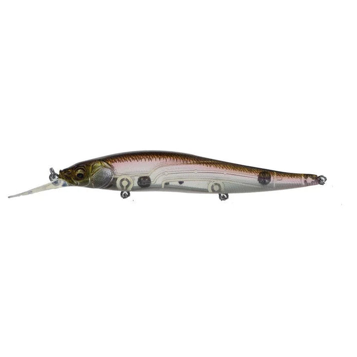 Megabass Limited Edition JDM Stealth Wakasagi Vision 110 +1 – Real Deal ...