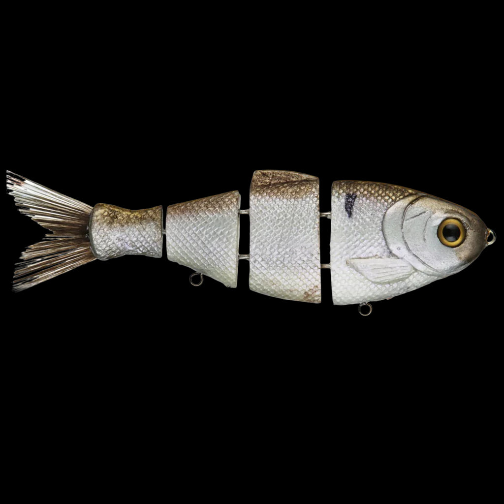 Bull shad swimbaits store